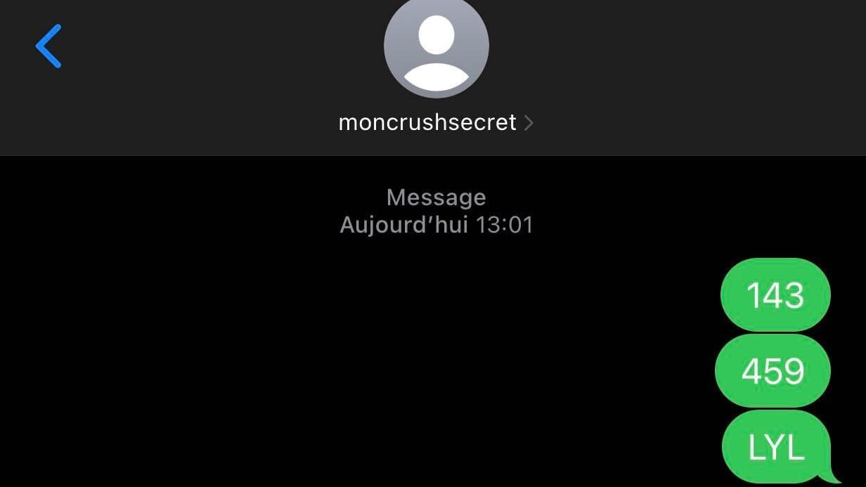 143, 459 ou LYL: ces messages secrets pour déclarer sa flamme en ligne