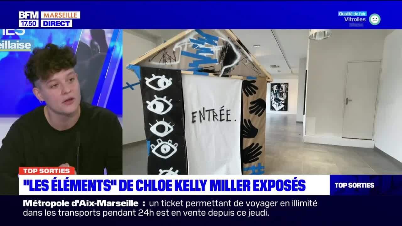 Top Sorties Marseille du vendredi 21 octobre 2022 - "Les éléments" de ...