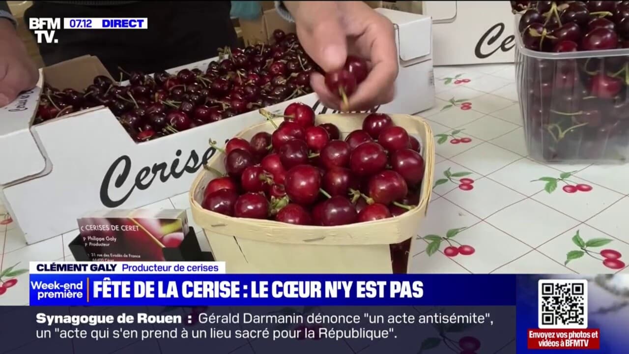 Fête de la cerise: malgré les intempéries et les insectes, certains ...