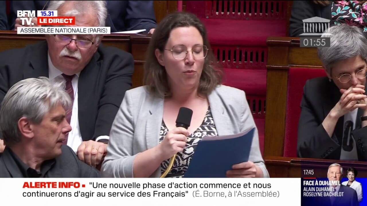 Cyrielle Chatelain (EELV) au gouvernement: "Vous espériez que les ...