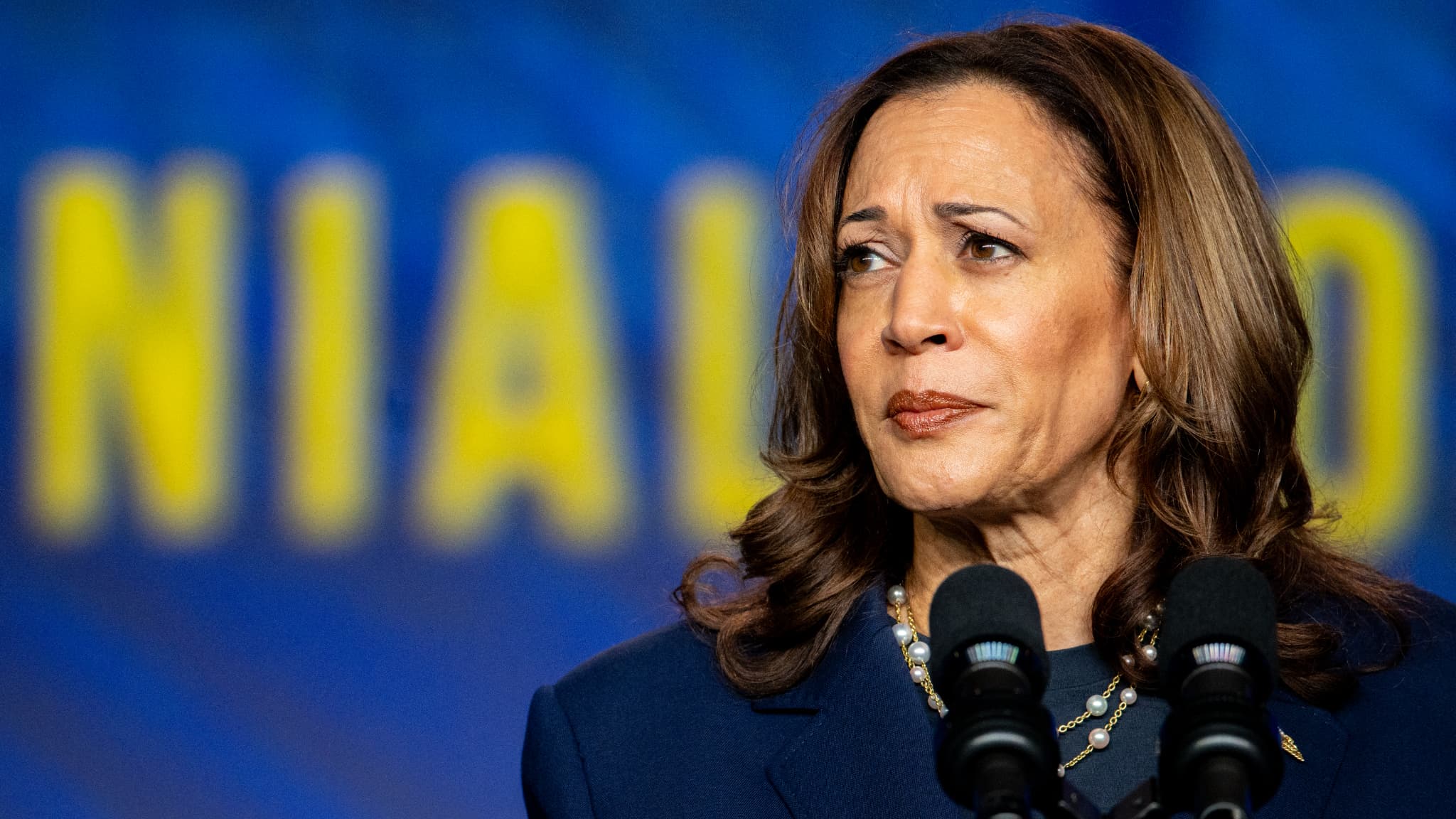 Présidentielle américaine: Kamala Harris dévoile son projet économique ...