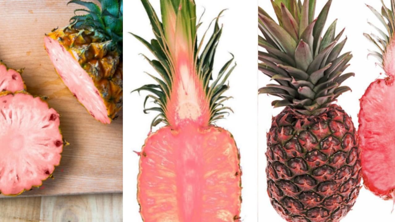 L’ananas rose génétiquement modifié fait fureur aux Etats-Unis