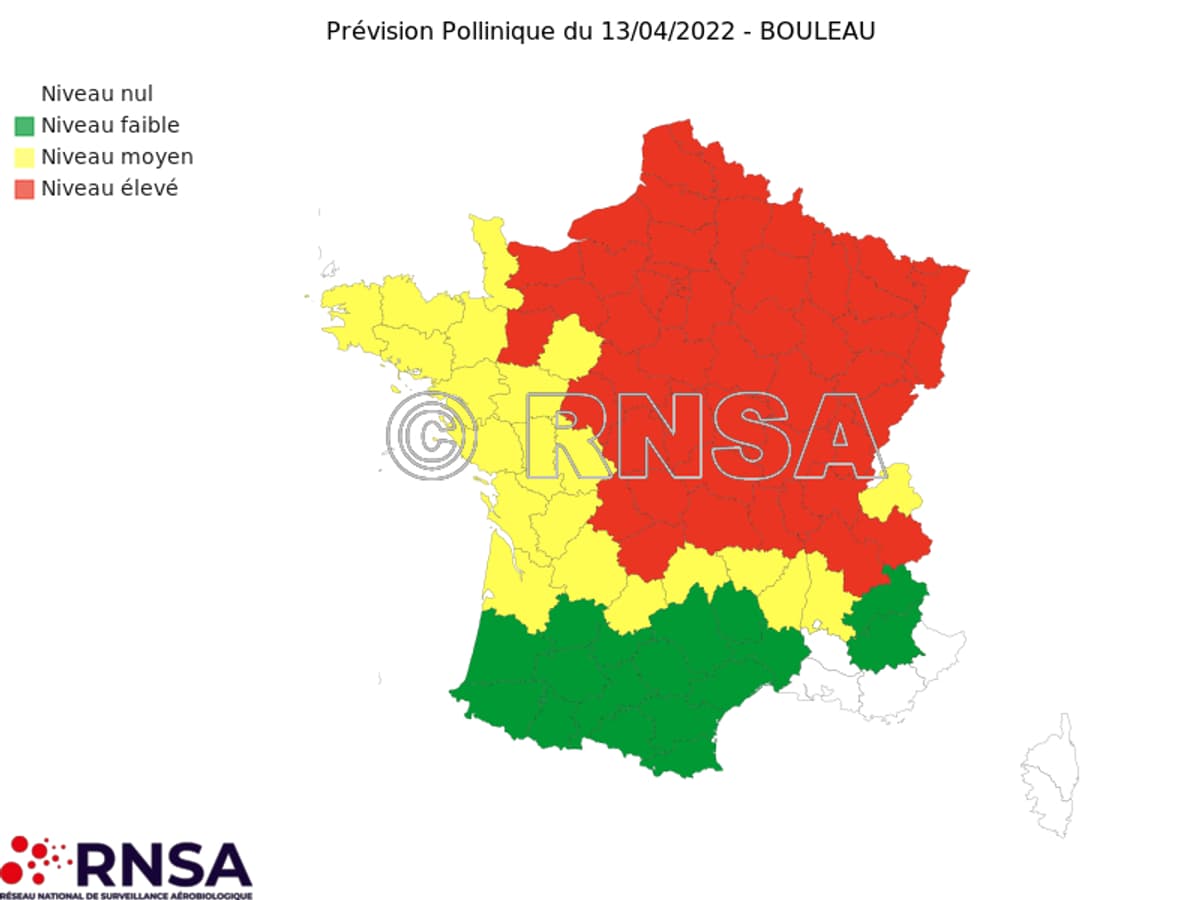 Une cinquantaine de départements en alerte rouge pour les allergies au ...