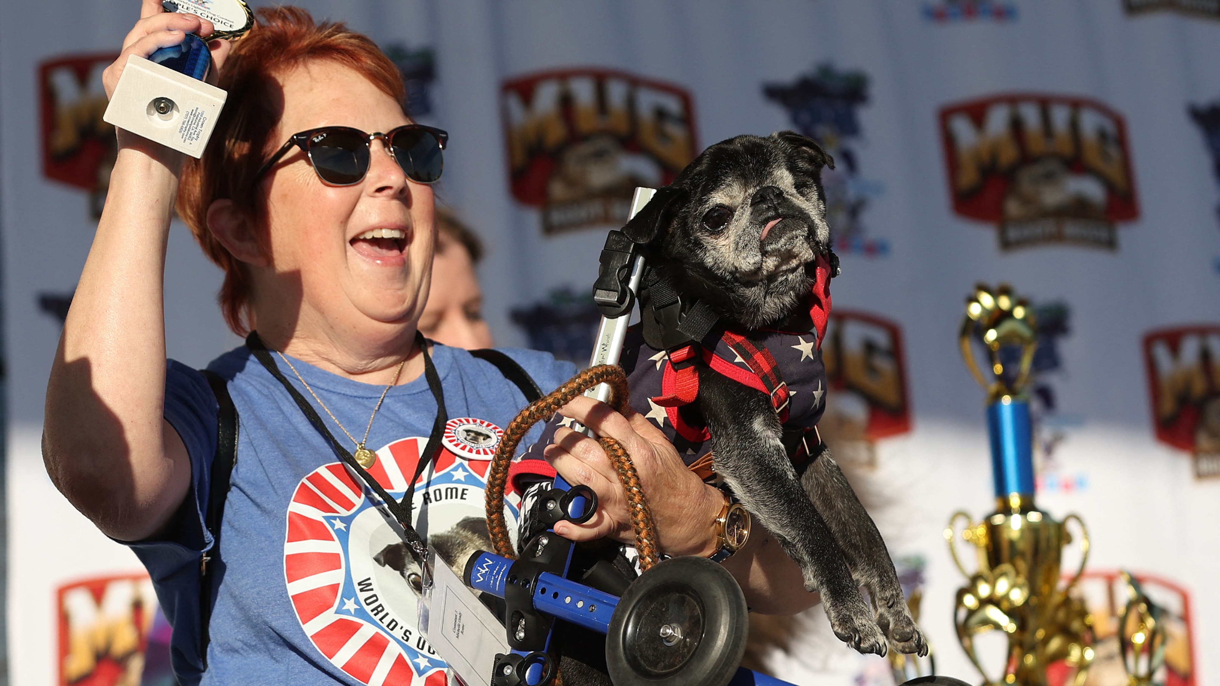 Wild Thang, un pékinois, a été élu chien le plus moche du monde 2024