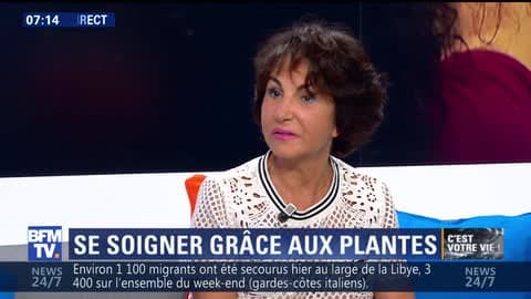 La phytothérapie, une méthode naturelle pour se soigner grâce aux ...
