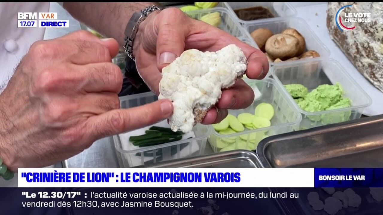 Saint-Tropez: le chef du restaurant Colette ajoute la "Crinière de Lion ...