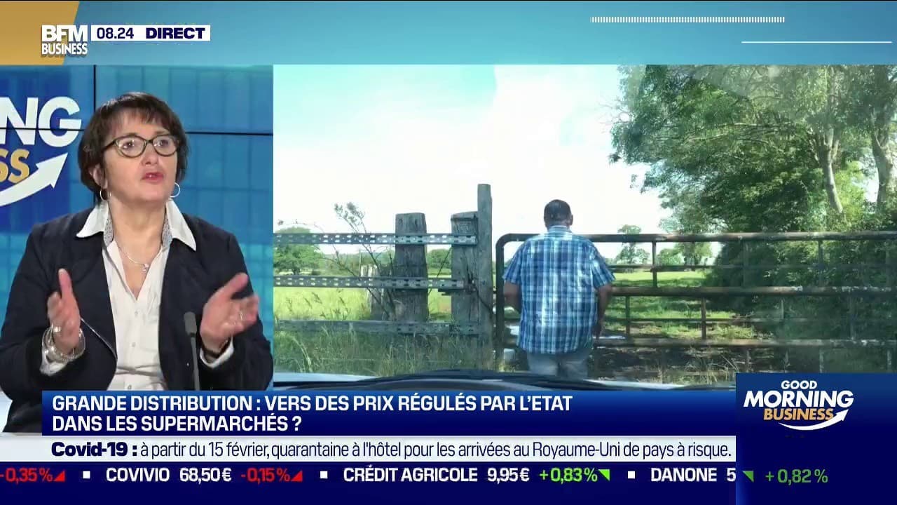 Christine Lambert (Présidente de la FNSEA): "Les distributeurs (dans la ...