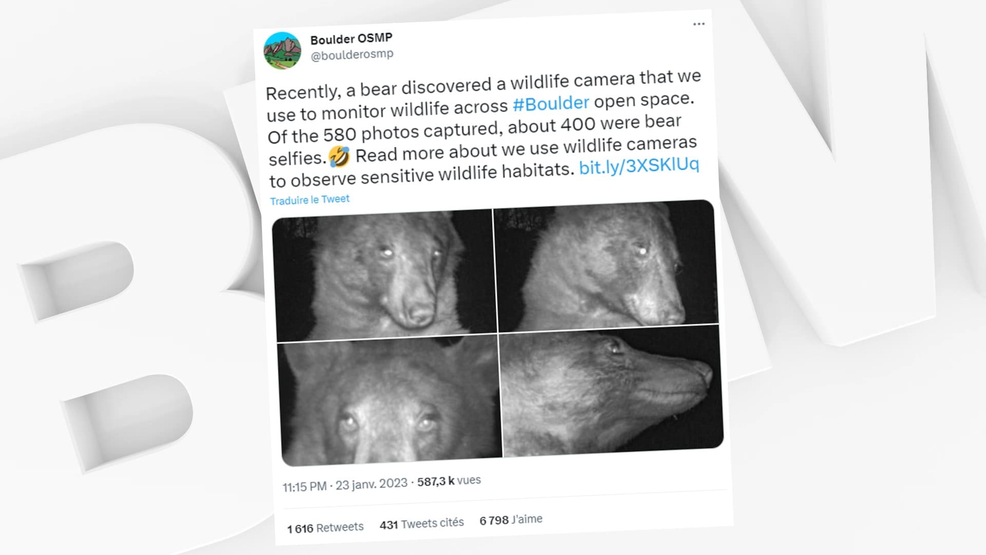 États-Unis: un ours noir prend près de 400 selfies dans un parc du ...