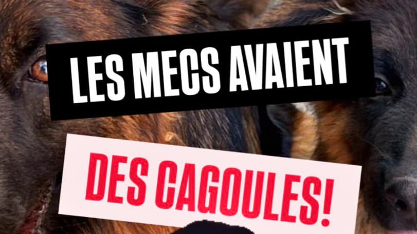 "Mauvaise nouvelle, ils n'ont pas piqué mon prochain scénario": victime ...