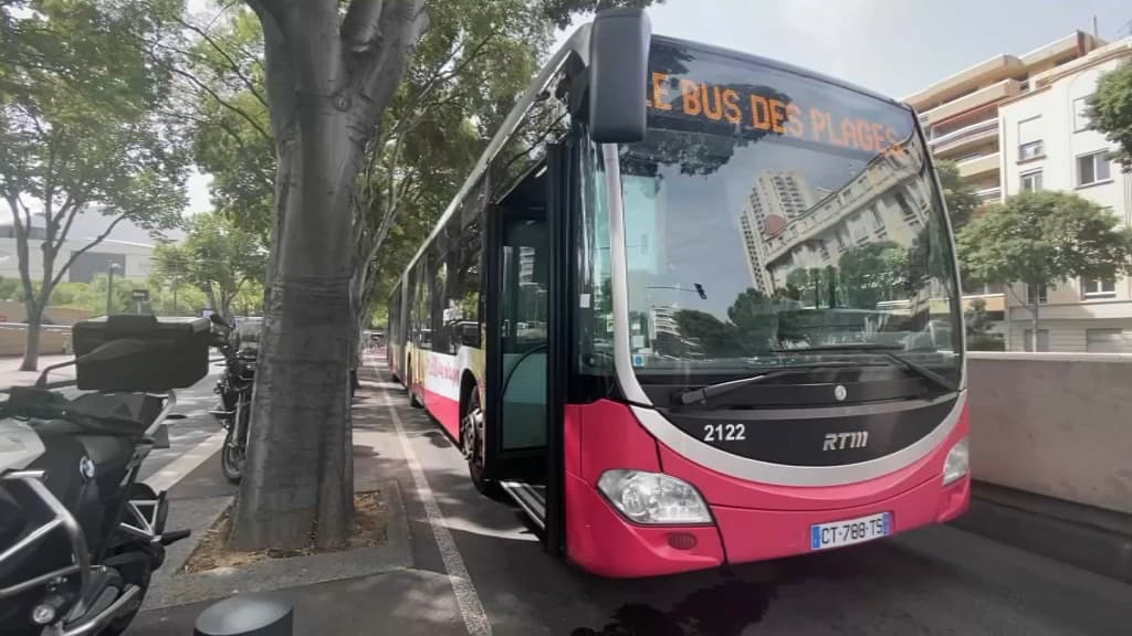 "Quelqu'un paie toujours...": à Marseille, la nouvelle gratuité des ...