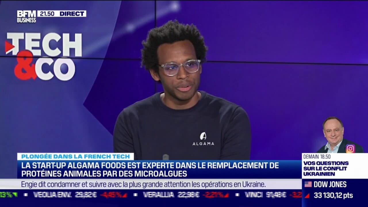 Algama Foods remplace les protéines animales par des microalgues