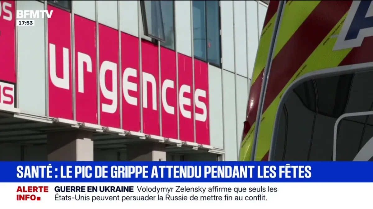 Épidémie de grippe: le pic est attendu la semaine prochaine pendant les ...