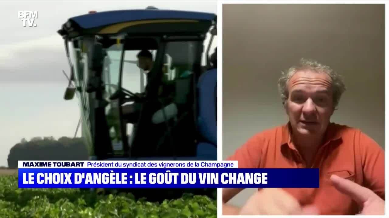 Le choix d'Angèle : Le goût du vin change - 13/09