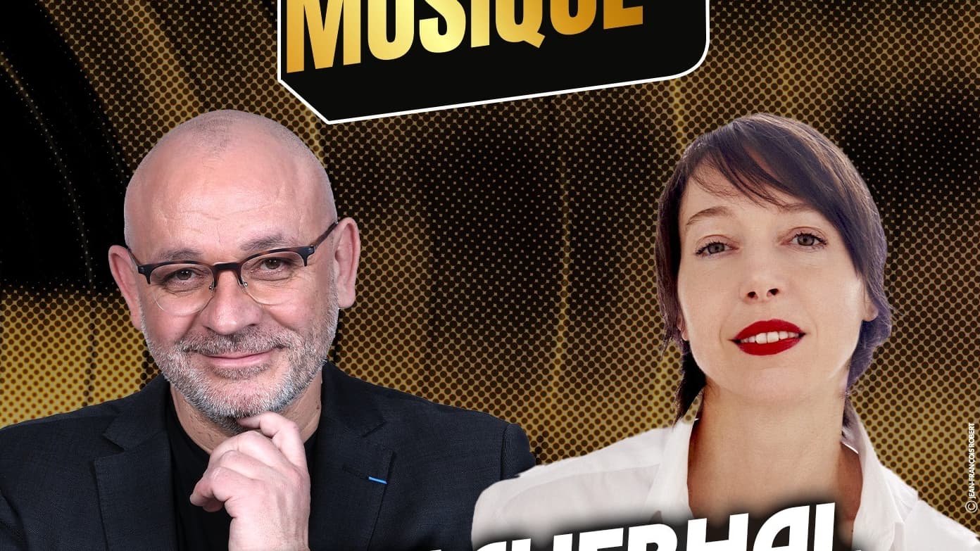 "Emmanuel Macron, c'est le chef de meute des prédateurs" (Jeanne Cherhal)