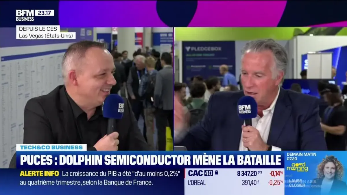 Puces : Dolphin Semiconductor mène la bataille - 13/01