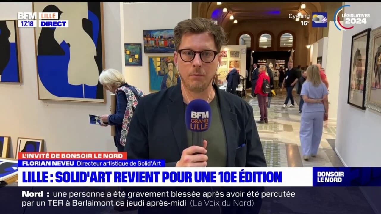 Lille: le salon d'art contemporain du Secours populaire Solid'Art revient pour une 10e édition