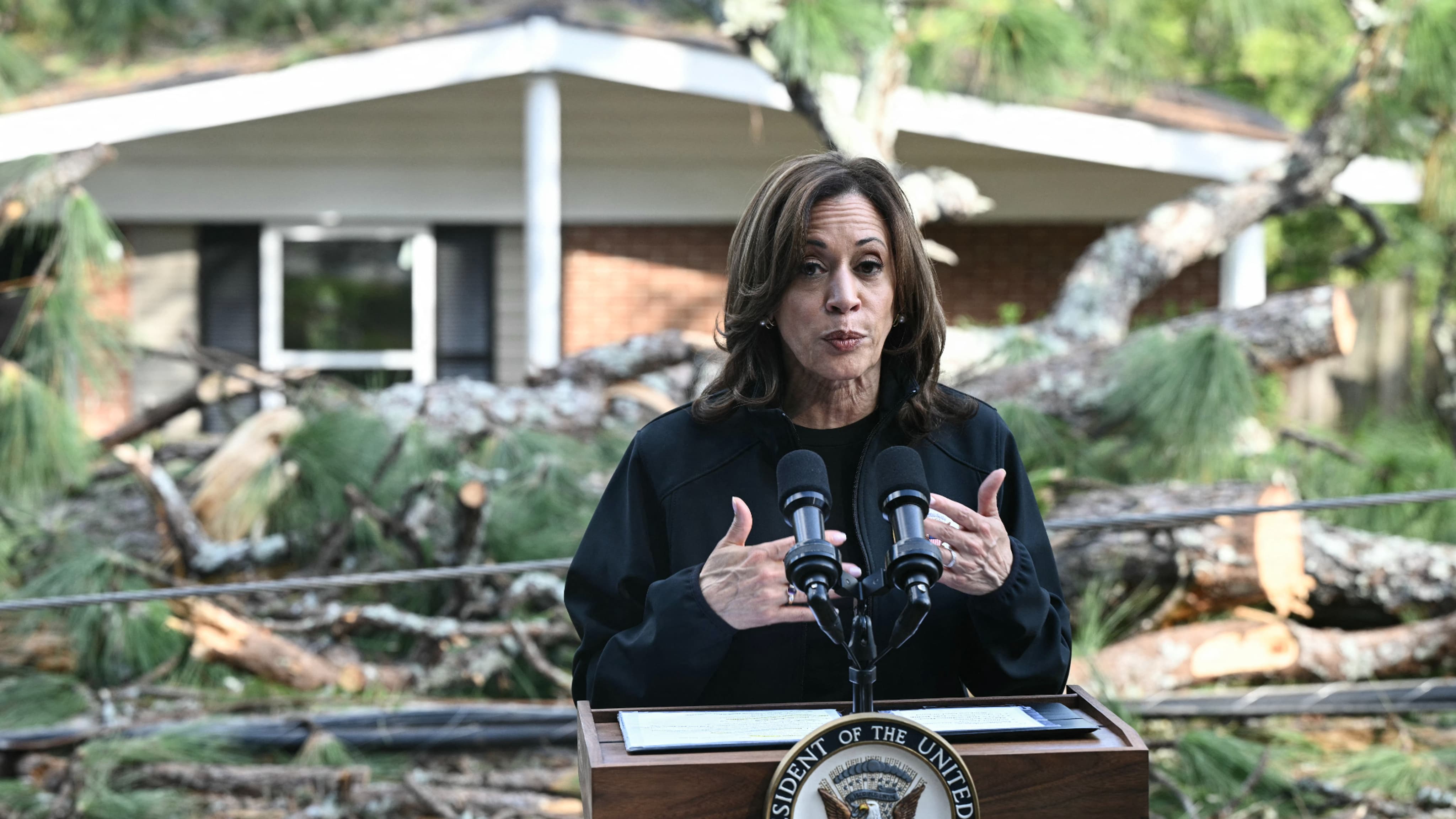 Ouragan Hélène: un couple meurt enlacé après la chute d'un arbre sur ...