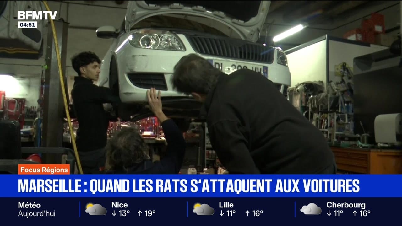 Focus Régions - 07/11