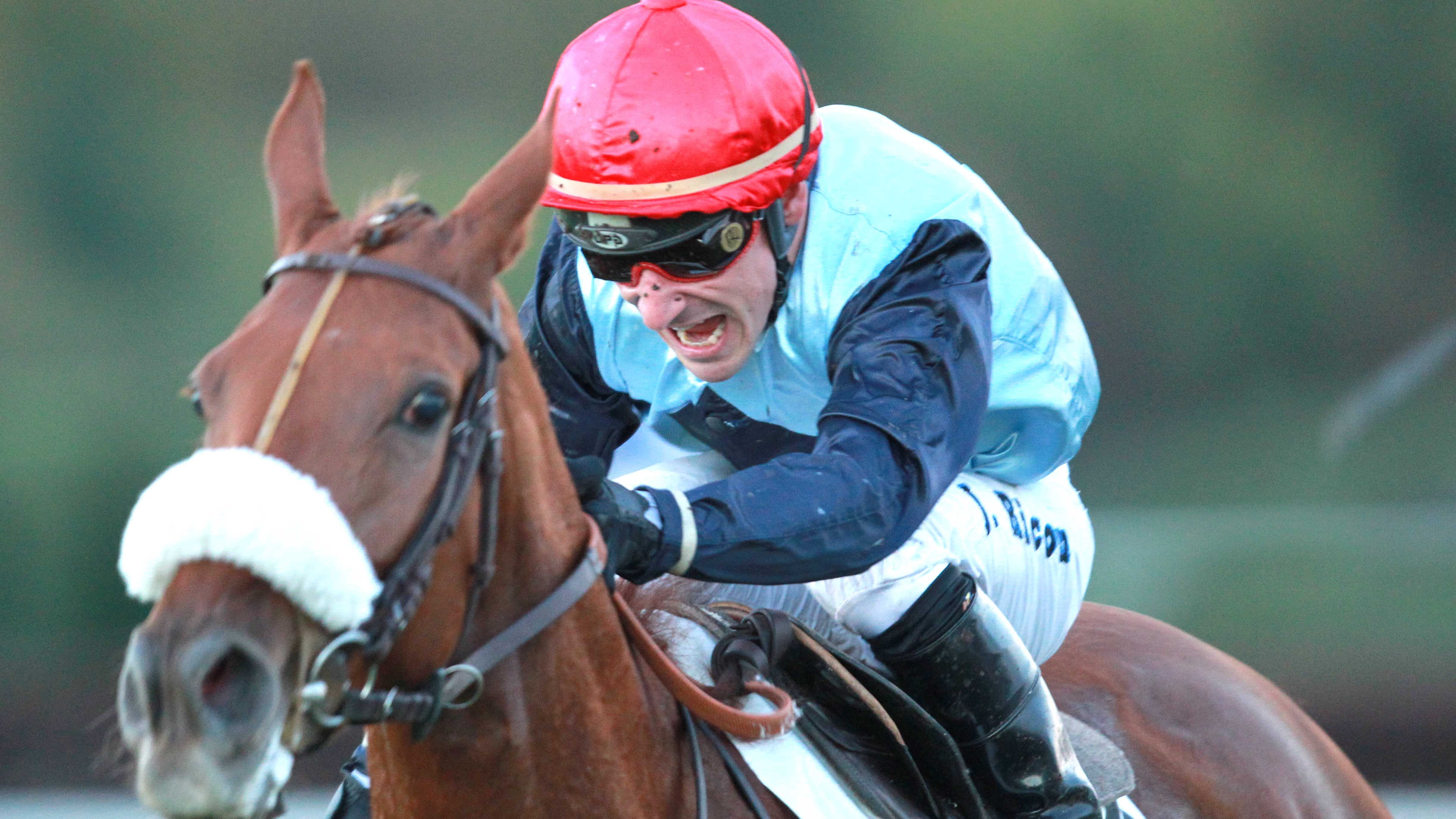 Jacques Ricou en deux temps