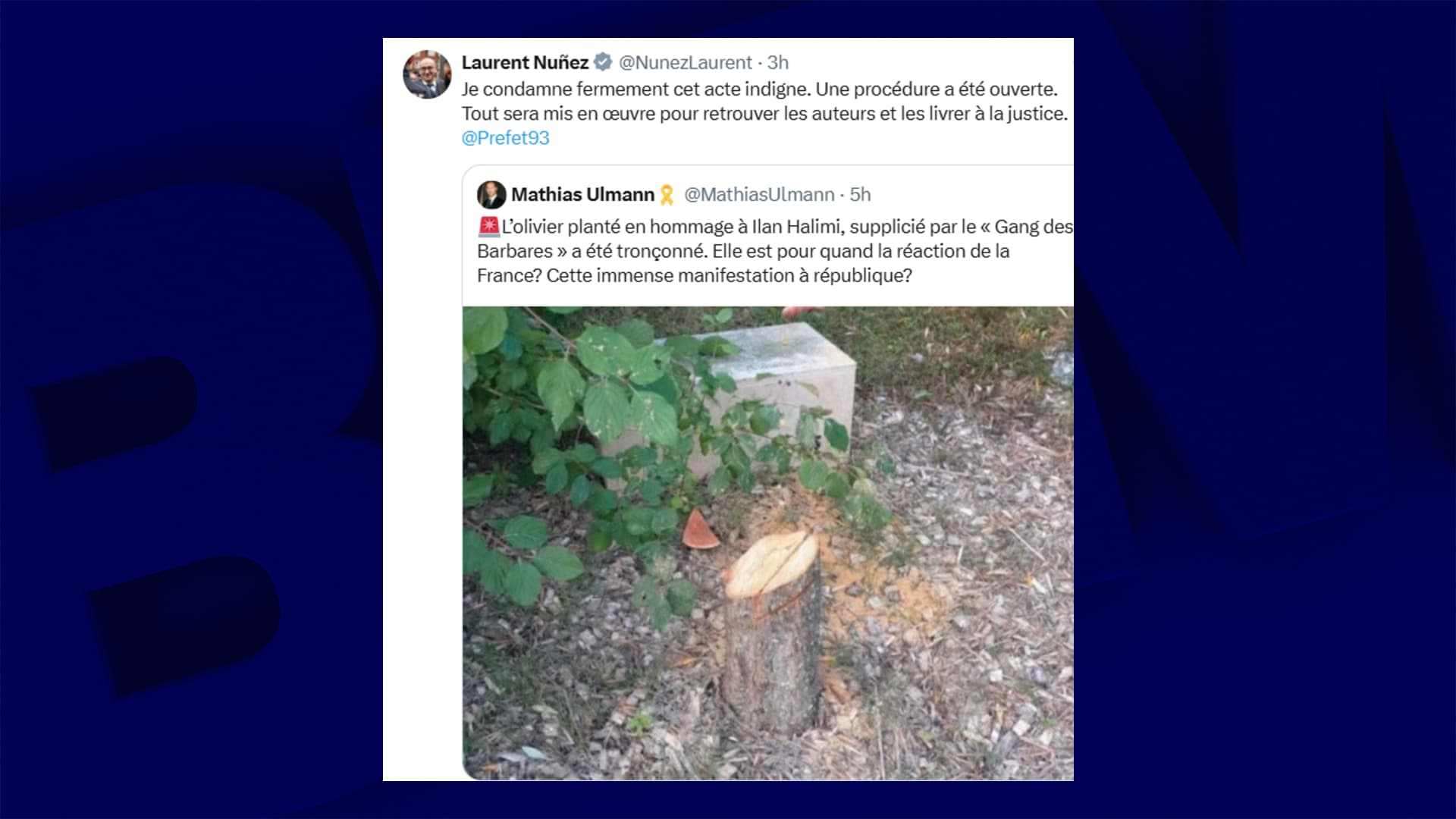 Ilan Halimi: une enquête ouverte après l'abattage d'un arbre en hommage ...