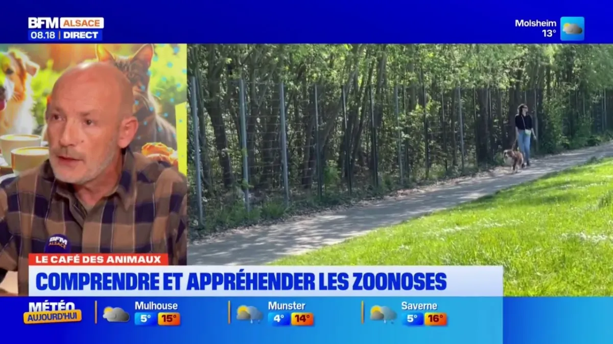 Le Café des Animaux: comprendre et appréhender les zoonoses