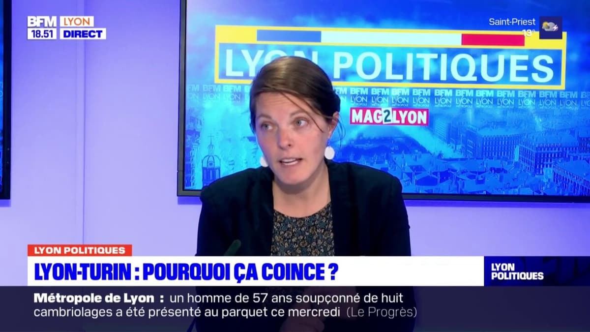 Lyon-Turin: Cécile Michel, conseillère municipale EELV, dénonce "un ...