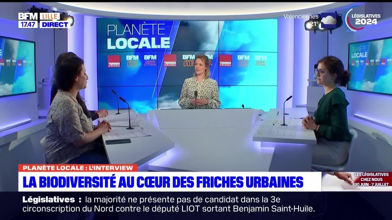 Planète Locale du lundi 17 juin - La biodiversité au cœur des friches urbaines
