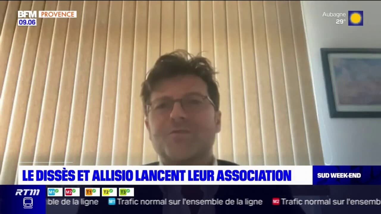 "Refondation du RPR" par Eric Le Dissès et Franck Allisio: le sénateur ...