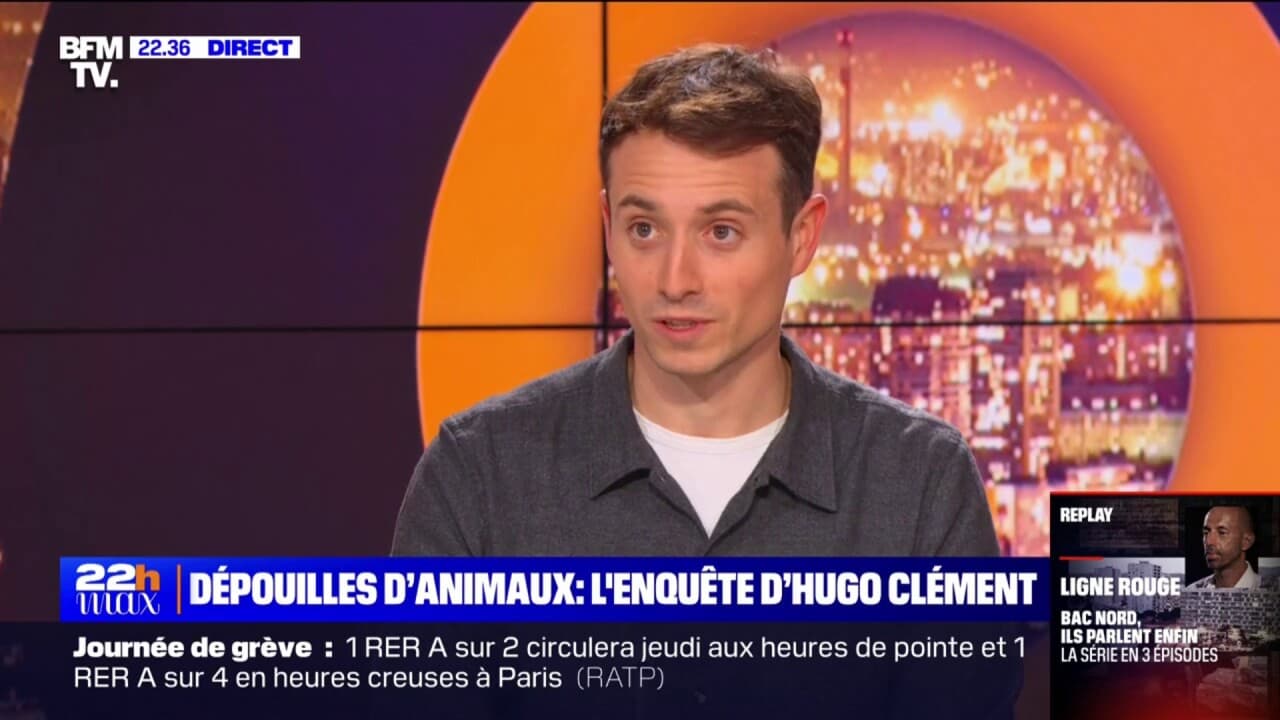 Hugo Clément: "Il y a des centaines de personnes prêtes à payer pour ...