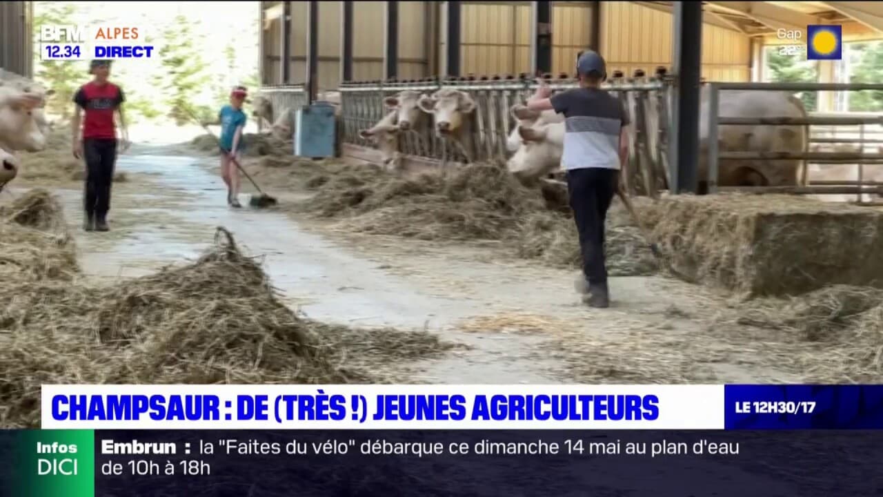 Champsaur: rencontre avec de très jeunes agriculteurs