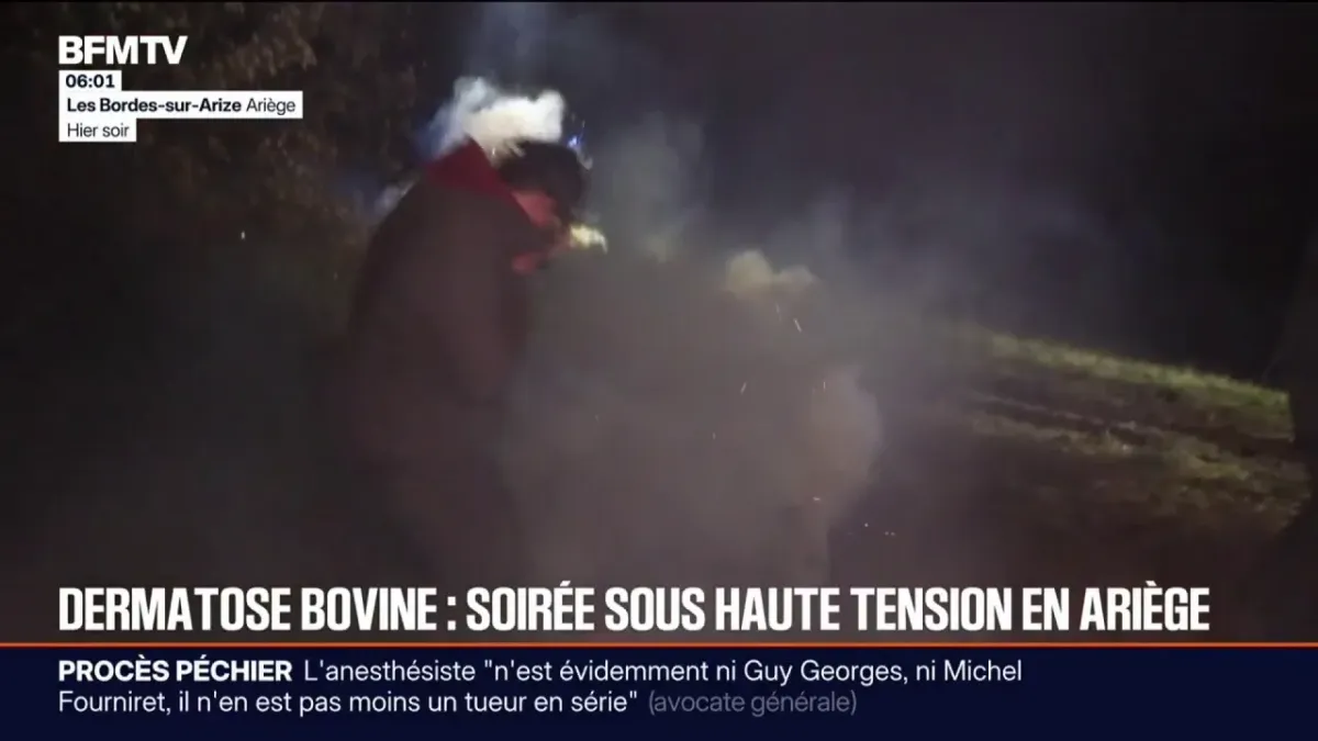 Dermatose nodulaire: tensions entre les gendarmes et les agriculteurs ...