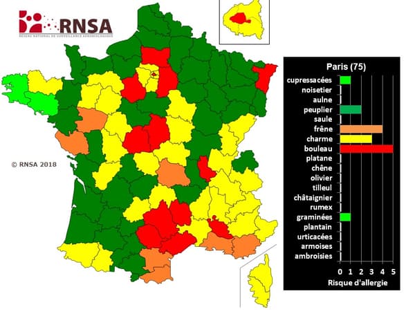 Bouleau, cyprès, frêne: les pollens sont de retour
