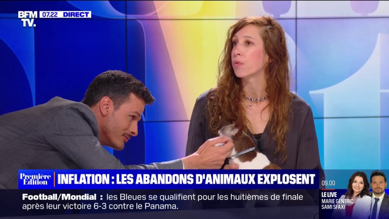 Lorène Jacquet de la fondation Brigitte Bardot affirme "qu'il y a plus ...
