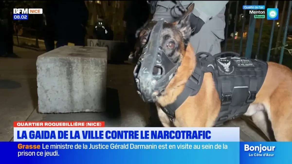 Nice : quel bilan de la brigade Gaïda contre le narcotrafic