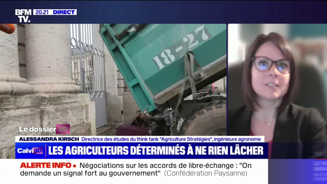 Mobilisation des agriculteurs: "C'est un problème de fond qui s'exprime ...