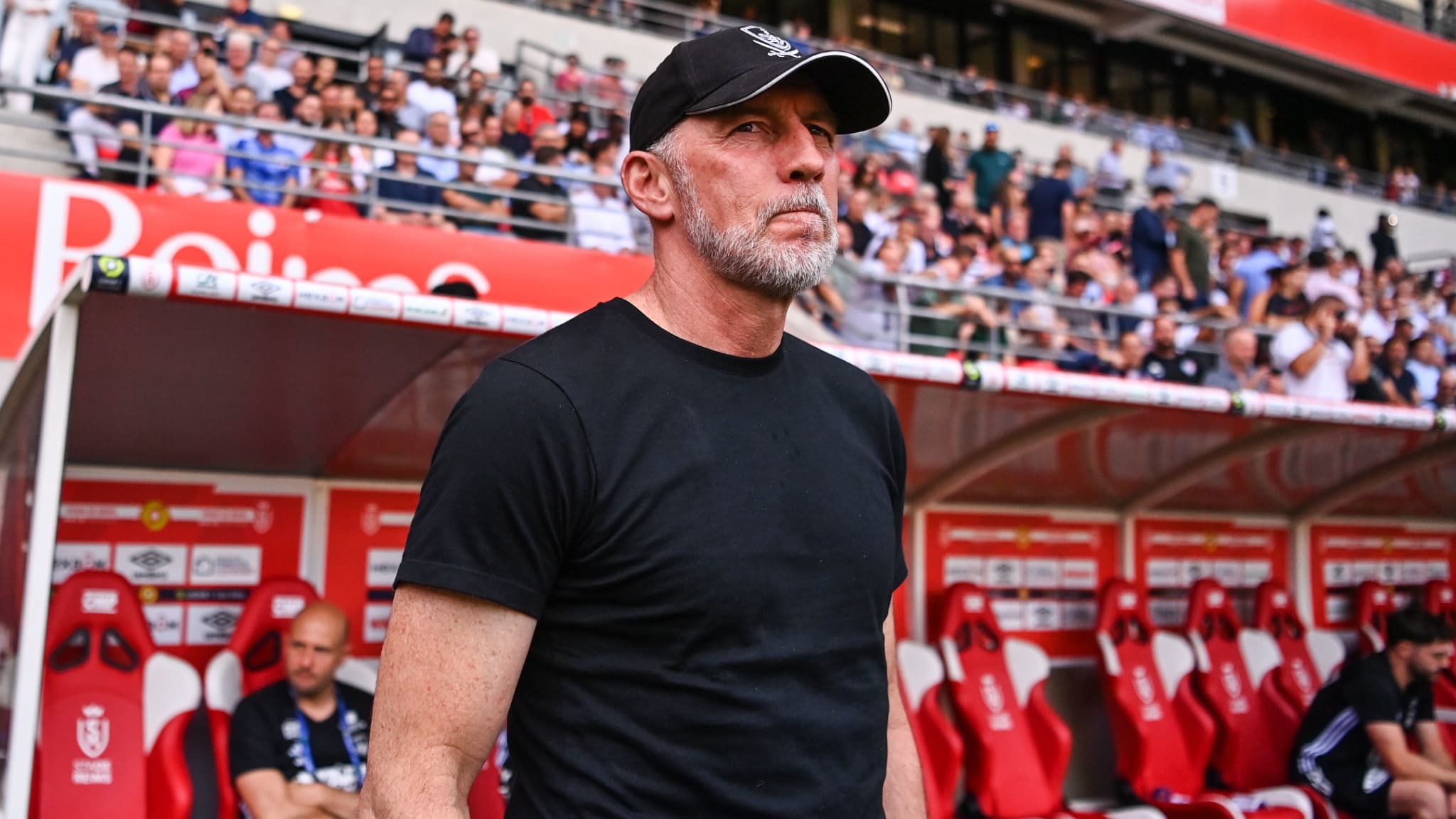 Brest: la grosse colère d'Eric Roy sur la suspension de Lees-Melou et ...