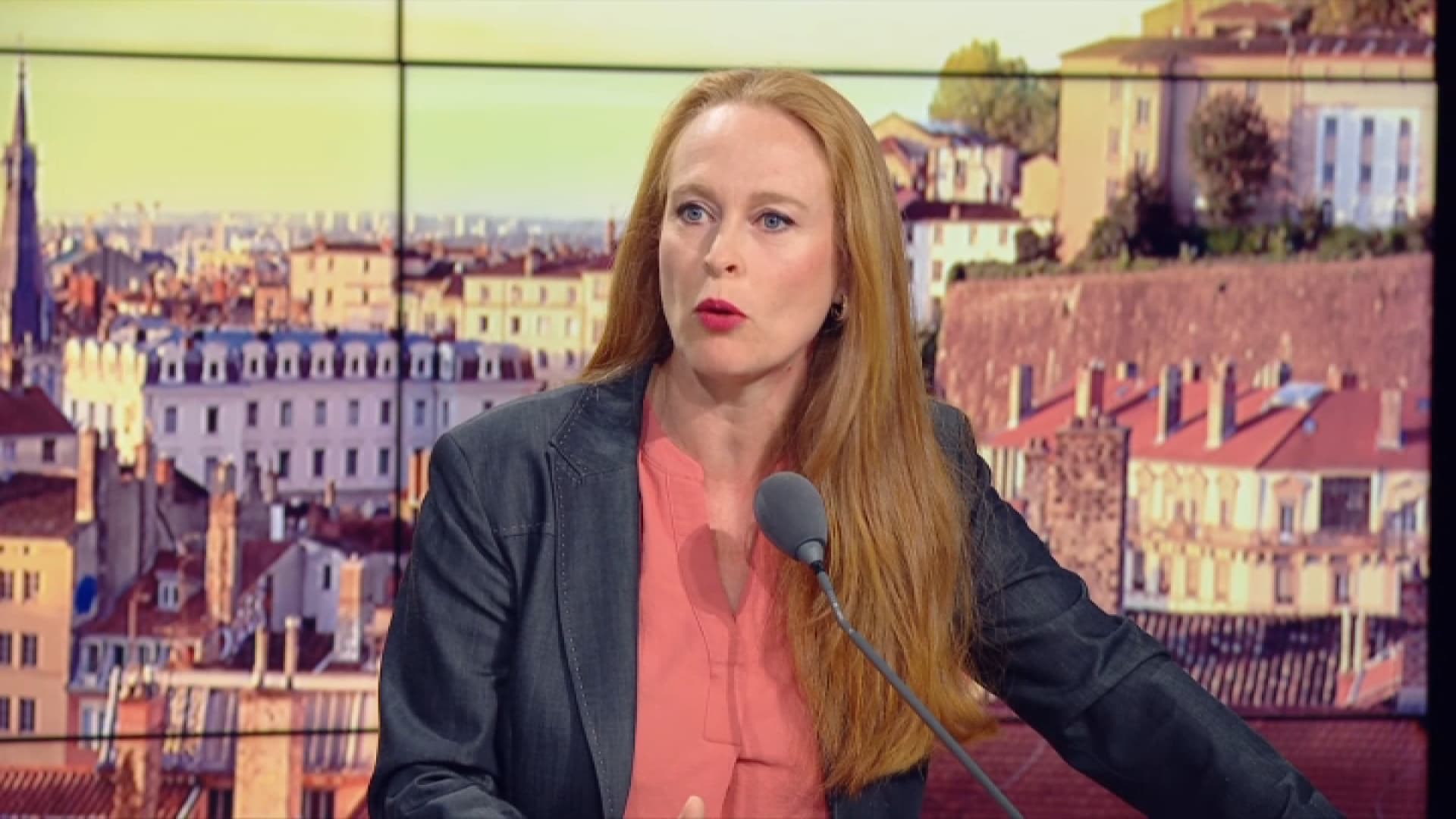 "David Guiraud est dangereux": Violette Spillebout dénonce l'appel à ...