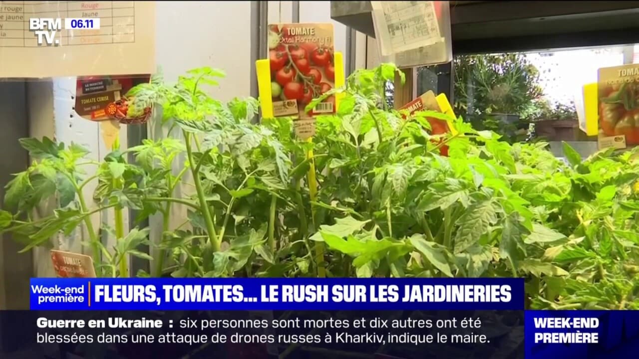 Fleurs, fruits, légumes... Avec l'arrivée du printemps, l'heure est aux ...
