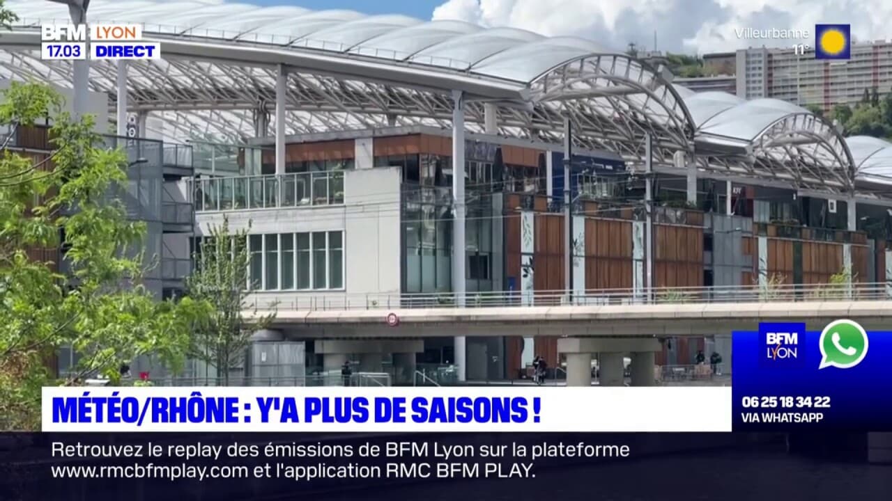 Rhône: la neige de retour dans les Monts du Lyonnais