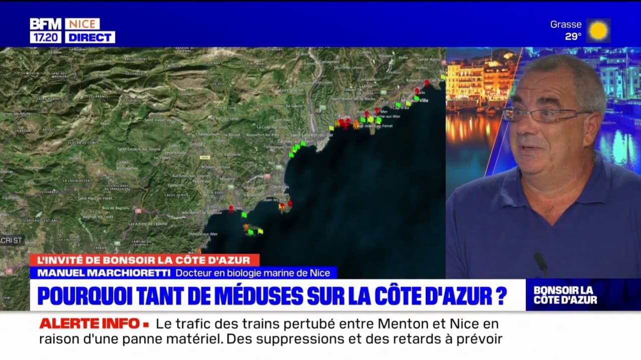 Quel rôle joue la méduse dans l'écosystème maritime sur la Côte d'Azur?