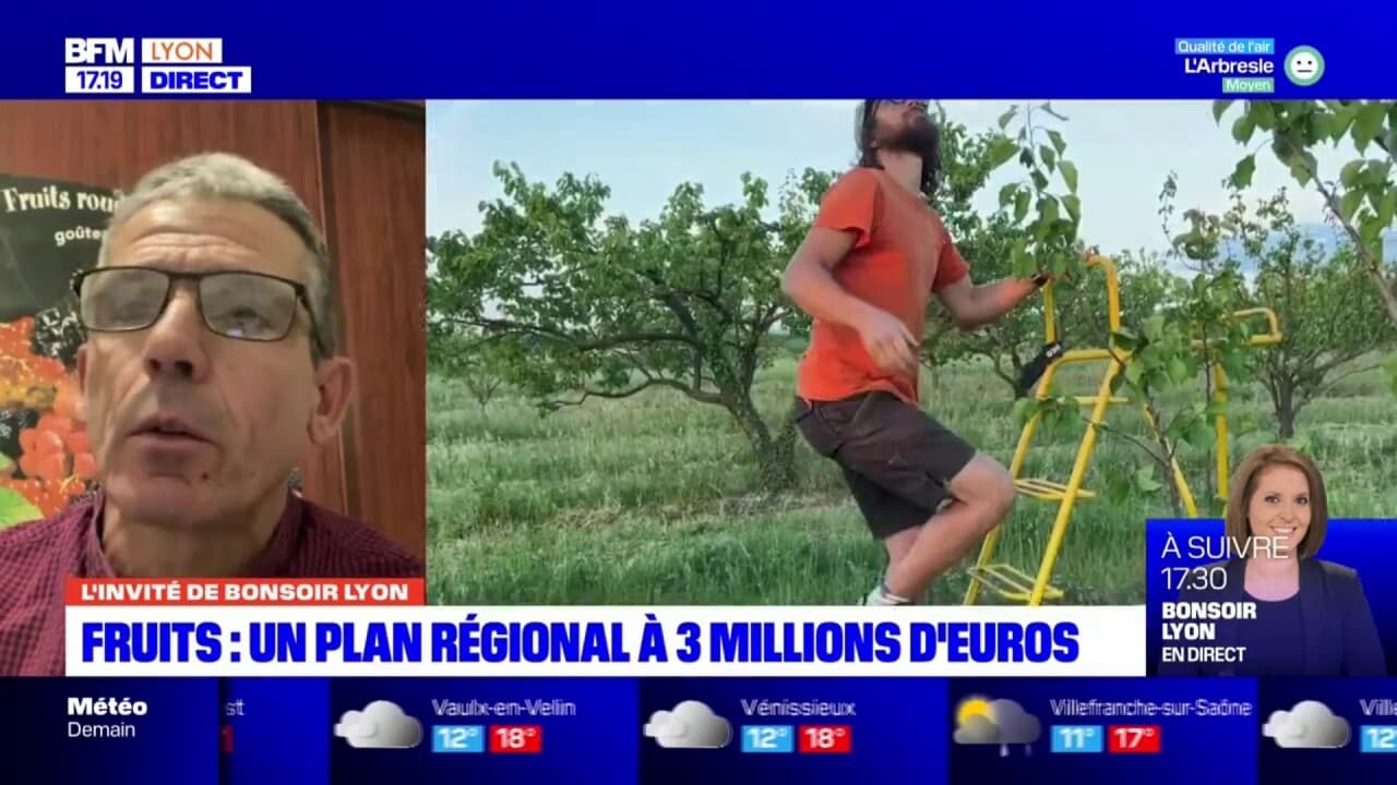 Agriculture: un plan régional à 3 millions d'euros pour soutenir la ...