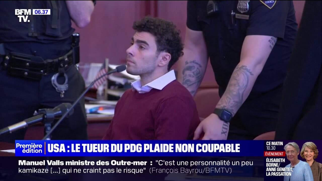 Luigi Mangione, tueur présumé d'un patron américain de l'assurance ...