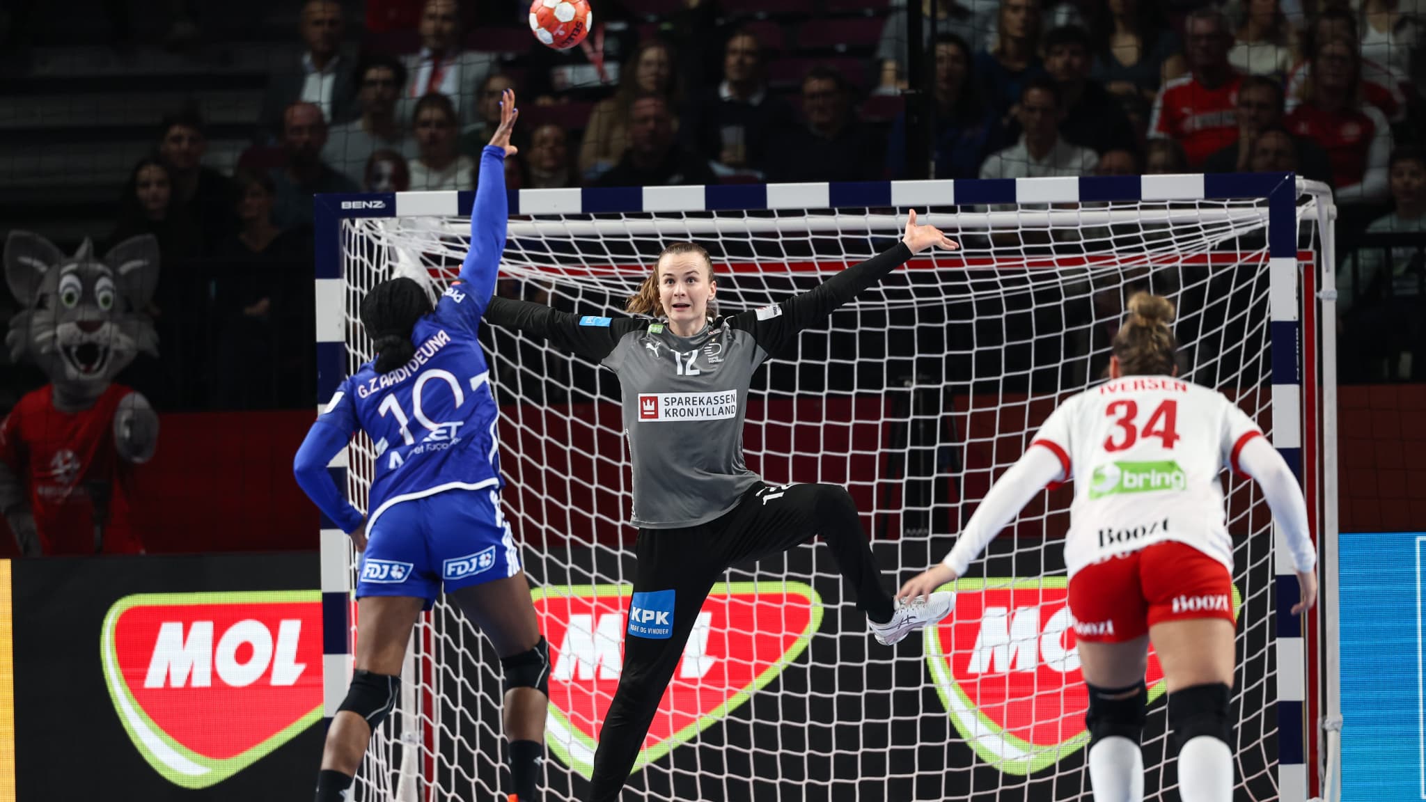 Handball, Euro 2024: le show de la gardienne du Danemark, qui a écoeuré ...