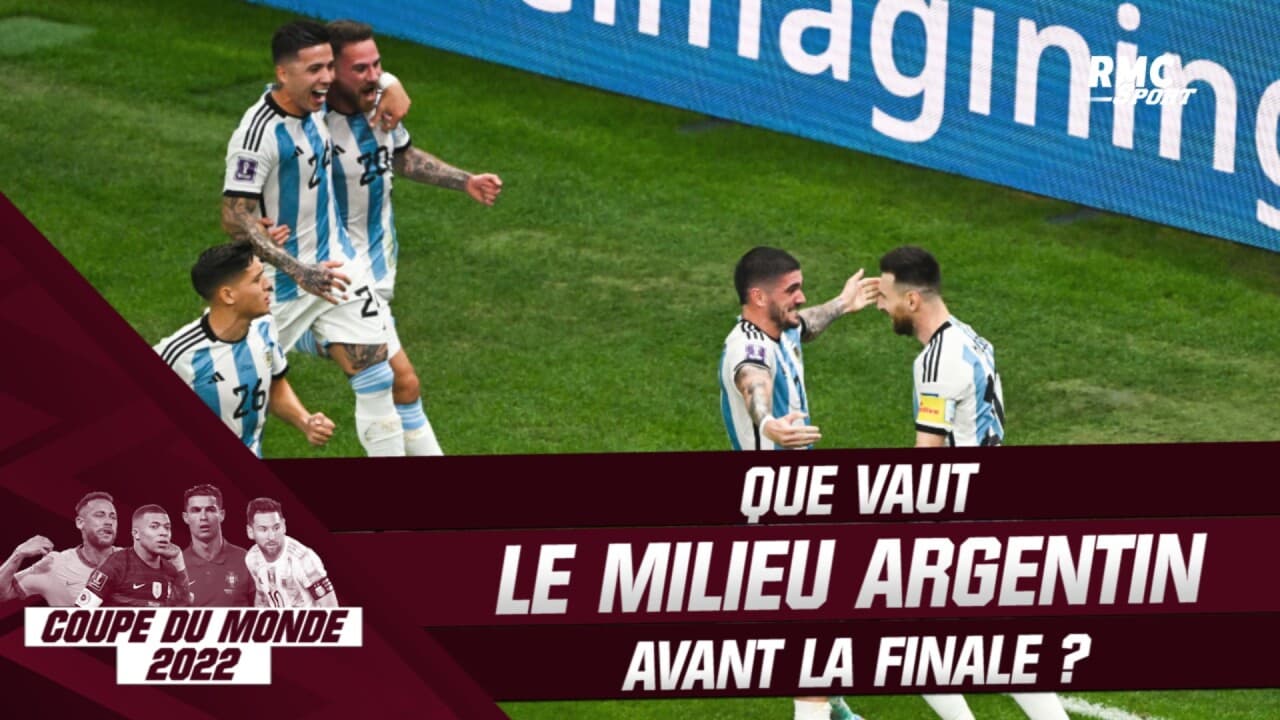 France - Argentine : De Paul, Fernandez, Mac Allister… Que vaut le ...