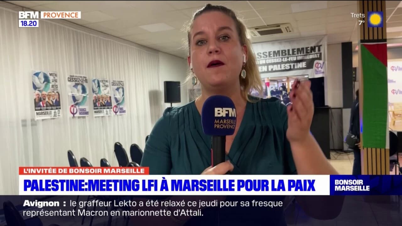 Meeting "pour la paix et la justice en Palestine": Mathilde Panot veut ...