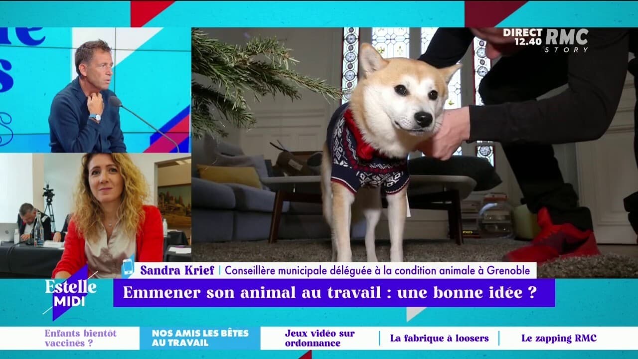 Daniel Riolo interpelle Sandra Krief sur les règles à respecter quand ...