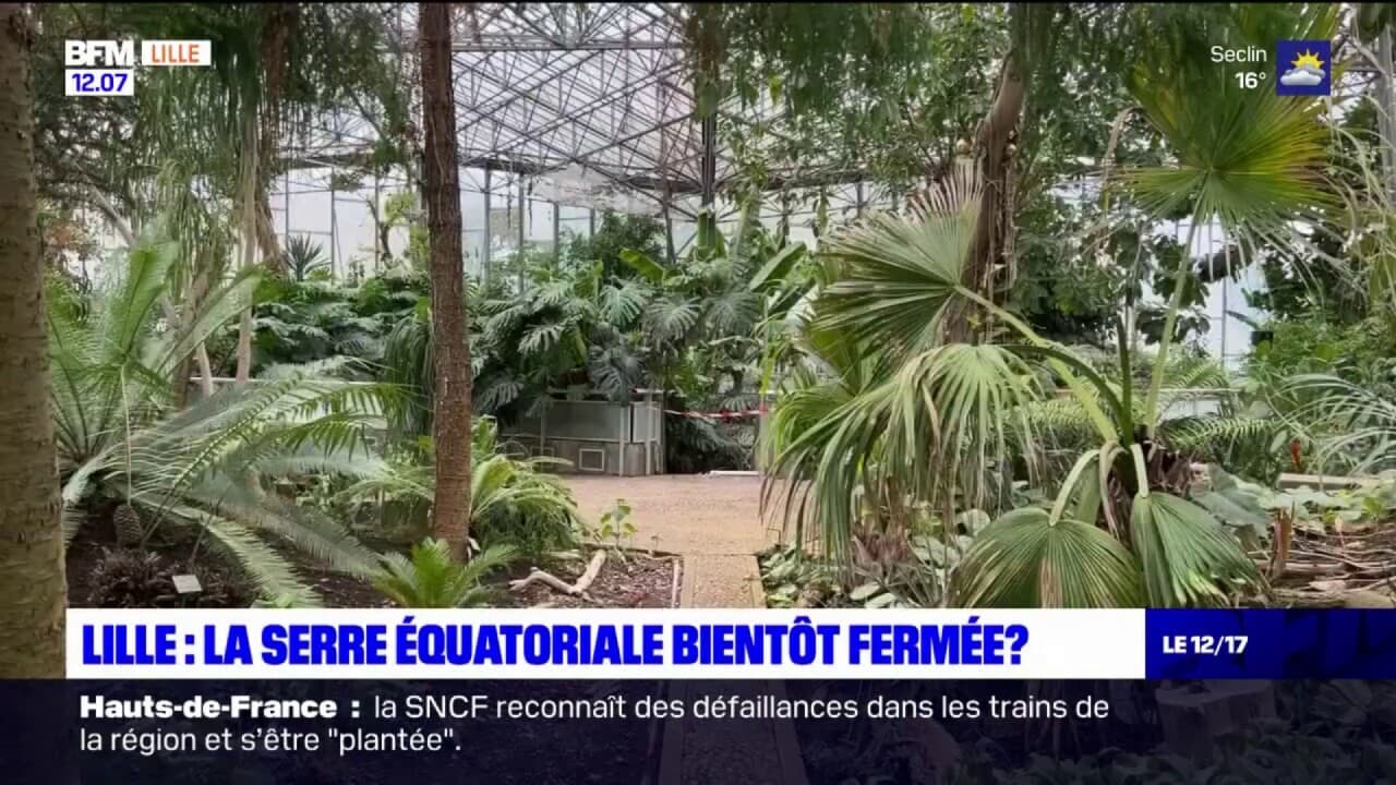 Lille: trop énergivore, la serre équatoriale pourrait fermer