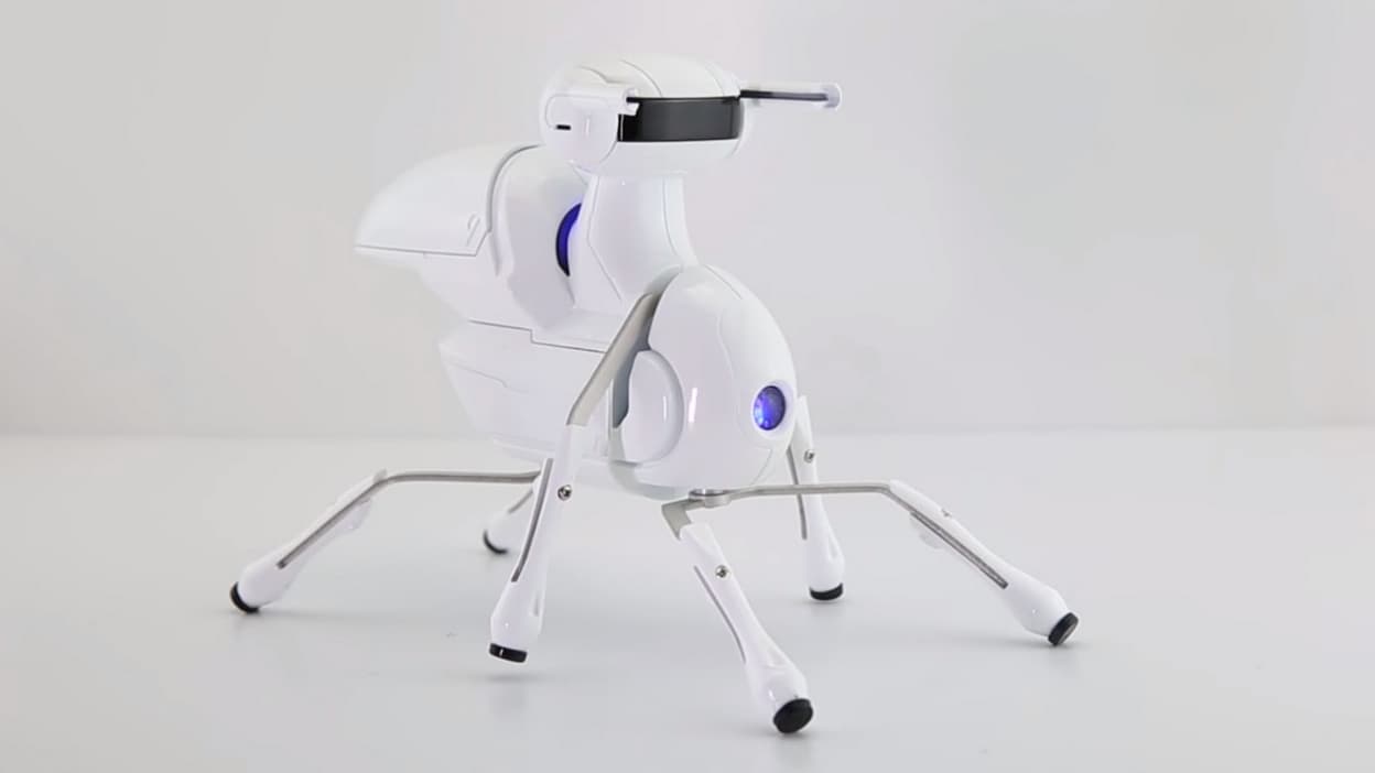 Antbo, le robot conçu pour apprendre aux enfants à coder