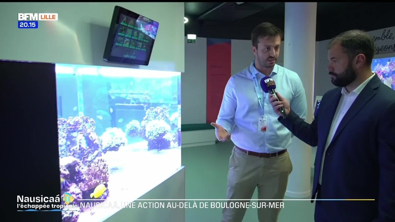 BFM Grand Lille dans les coulisses de la nouvelle exposition de ...