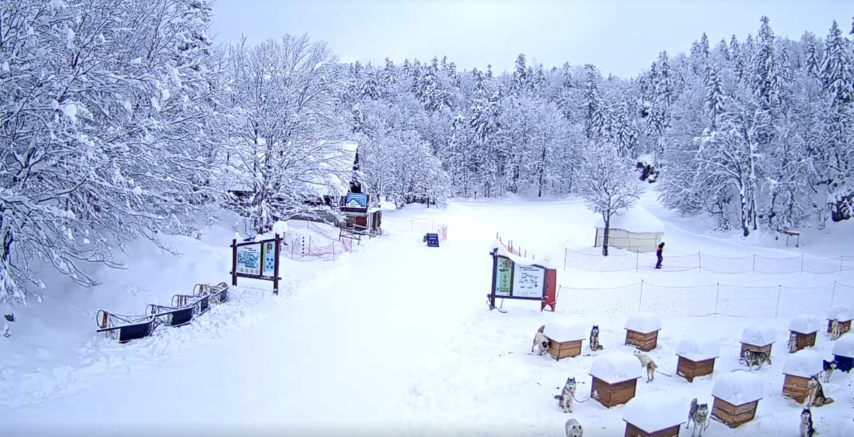 Pyrénées, Alpes, Massif central: les images du retour de la neige à ...